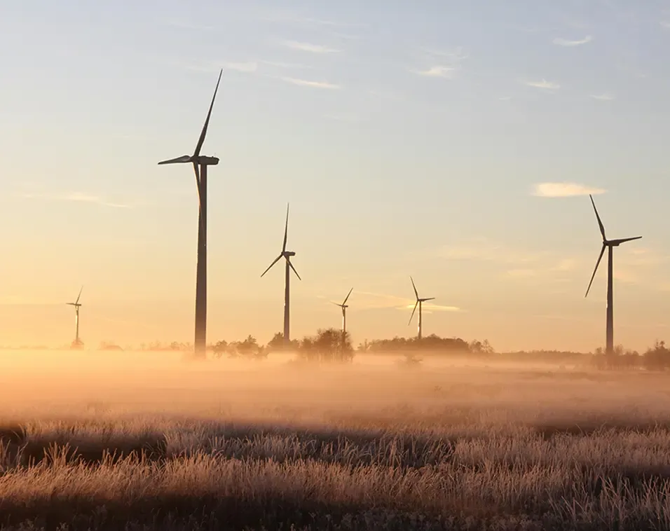 About PESCO Holding | PESCO